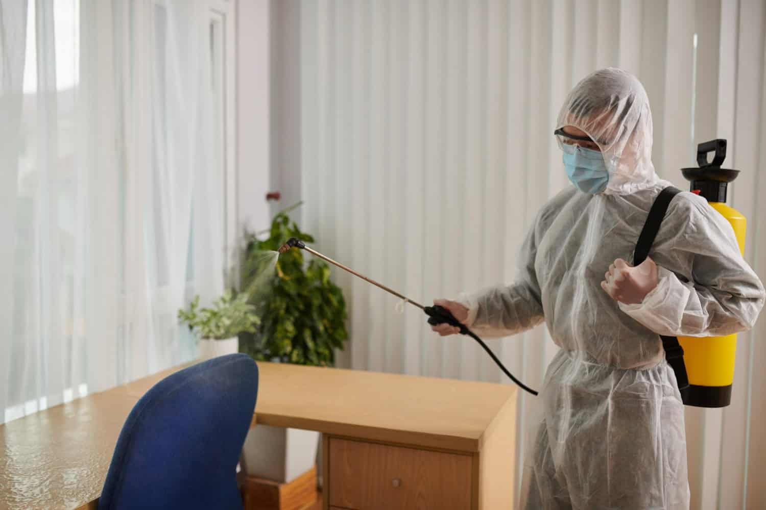 Affordable Pest Control Company Surrey, BC - Pest Exterminator Near Me